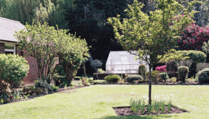 What Is a Duplex? Your Definitive Guide to This Doubled-Up Home Style