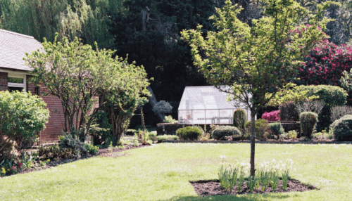 What Is a Duplex? Your Definitive Guide to This Doubled-Up Home Style