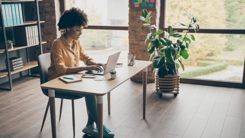 What Is an Automated Valuation Model (AVM)?