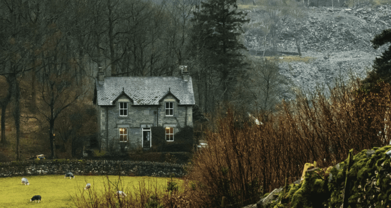 What Is a Transaction Broker and Do I Need One?