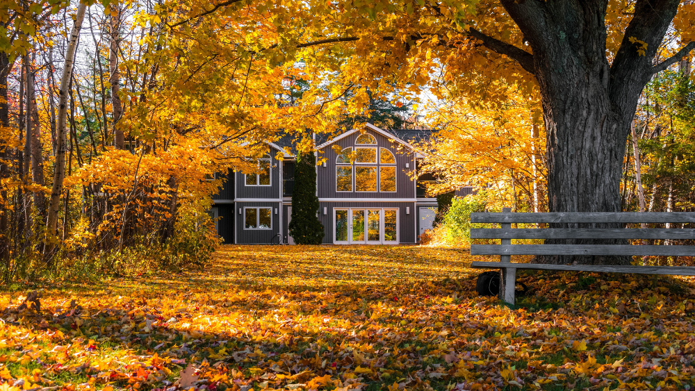 Understanding Michigan’s Transfer Tax: A Quick Guide